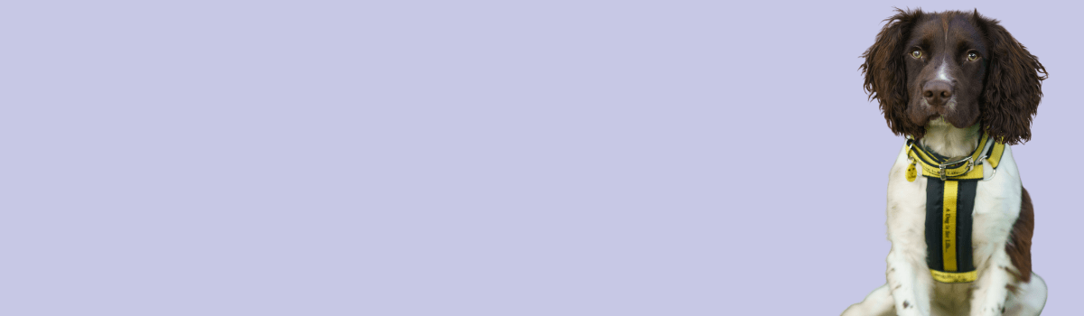 Existing Member Self-Assessment Standard Operating Procedure - SOP 2 ...