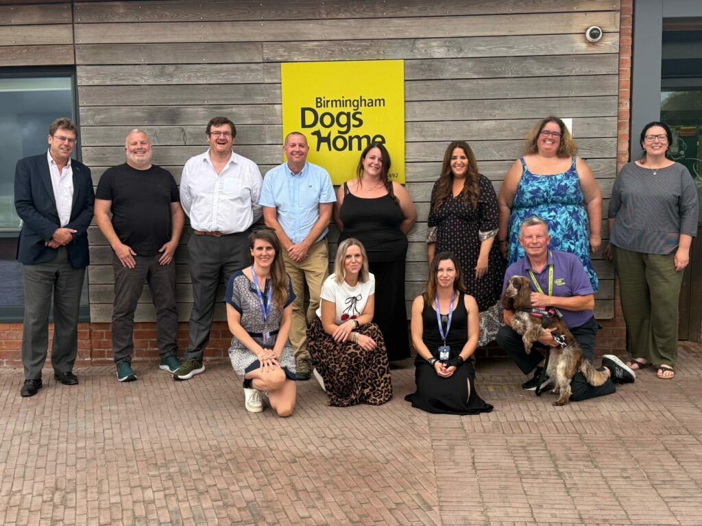 Wythall Animal Rescue – Association of Dogs and Cats Homes