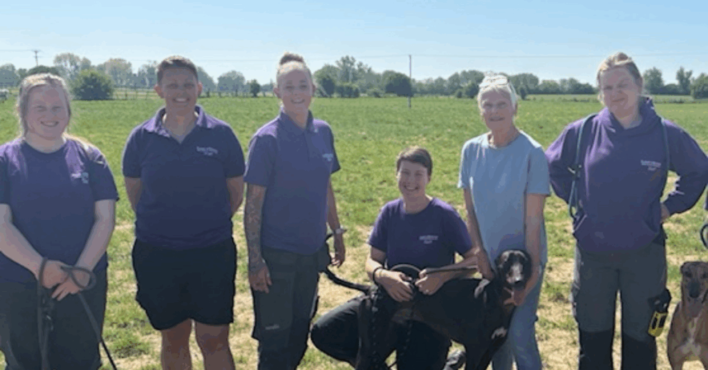 Welcome to ADCH’s Newest Member – Last Chance Animal Rescue ...