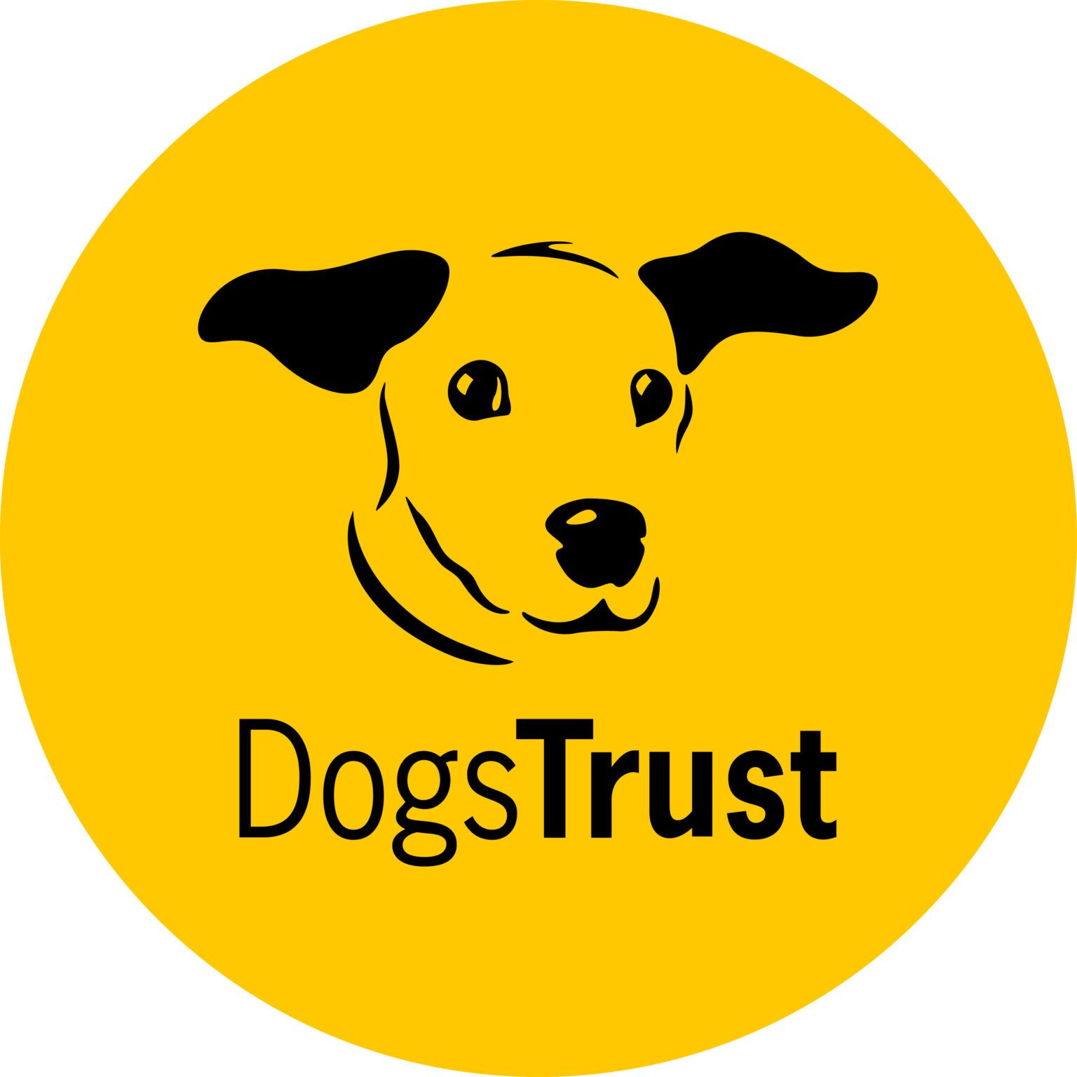 Jobs – Association of Dogs and Cats Homes